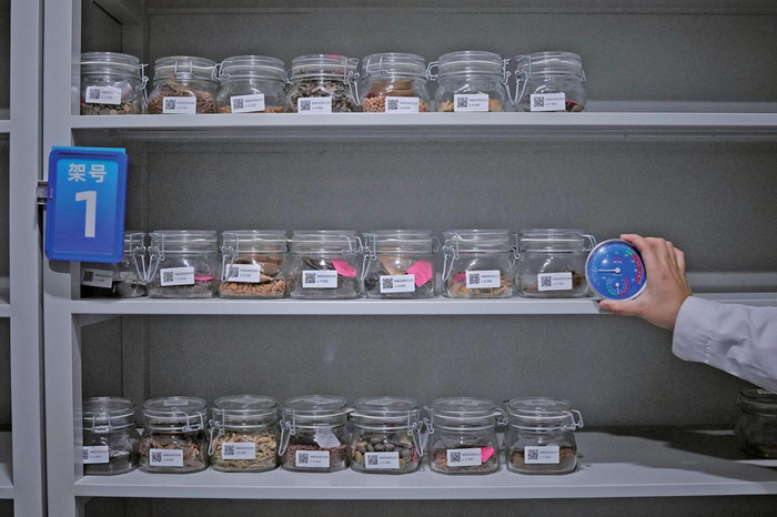 国家植物种质资源库项目计划2026年年底运营 如何把种子存进植物“诺亚方舟”？|诺亚方舟|植物|国家植物园