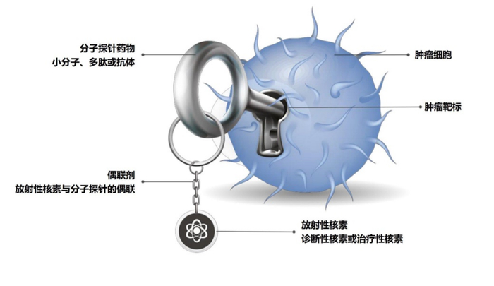 全球创新药物TLX591-Tx的全球III期临床试验第一部分达到主要目标|中国|前列腺癌|癌症|疫情|肿瘤_新浪新闻