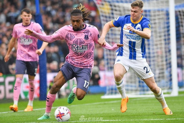 [英超]布莱顿霍夫1-5埃弗顿_新浪图片