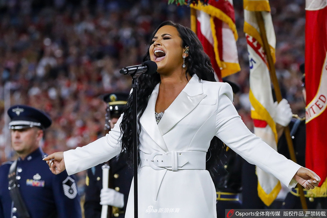 第54届NFL超级碗表演秀_新浪图片