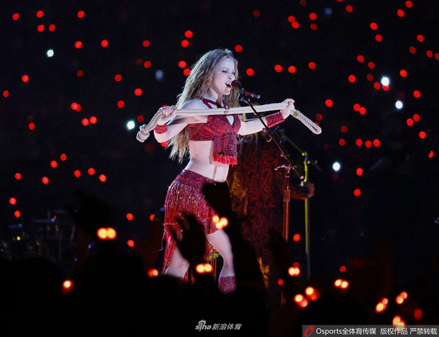 第54届NFL超级碗表演秀_新浪图片