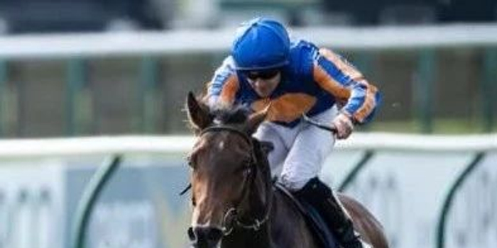 日本德比爆冷，岳伯仁爱驹成史上第四匹连胜两场坚尼赛马匹_手机新浪网