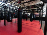 UFC终极格斗冠军赛_新浪网