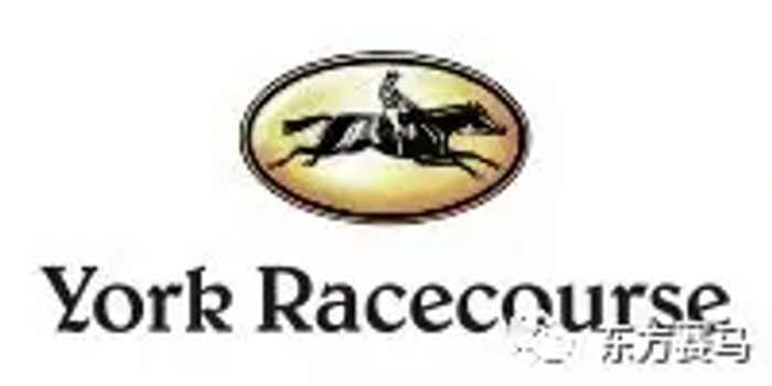 不惜重金！英国约克赛场纯血马一级赛奖金超百万！_手机新浪网