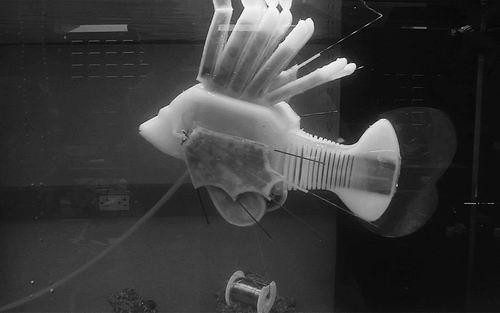 机器人终于流上"机器血" 向自主机器人迈出重要一步_手机新浪网