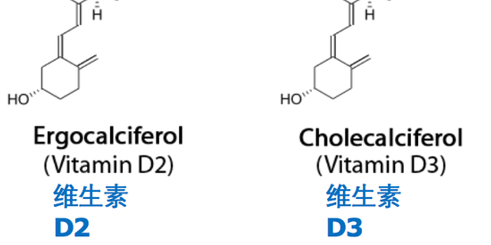 你的维生素D够了吗？ 医生没告诉你的各种细节，本篇都有了_手机新浪网