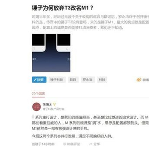 M1之后还有大招？老罗锤子T3主打高颜值_手机新浪网