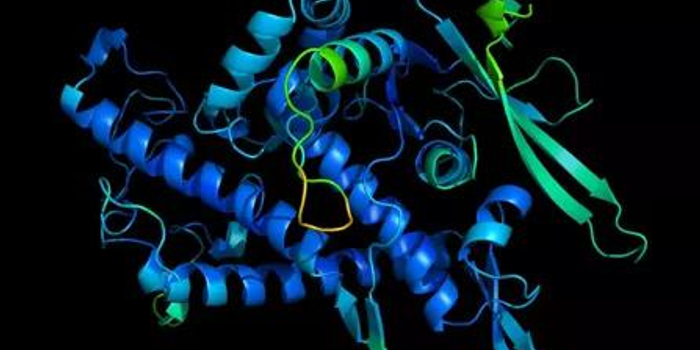 颠覆生物学！AlphaFold成功预测蛋白质结构_手机新浪网