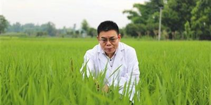 教授论文获奖1350万引争议：望多关注科研而非奖金_手机新浪网