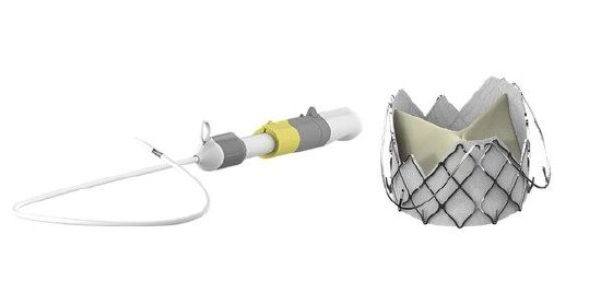 健适医疗"J-VALVE® TF经导管主动脉瓣膜系统"获批|心脏瓣膜|新冠肺炎_新浪健康_新浪网