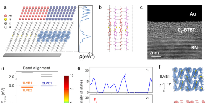 物理学系季威研究组在《科学》子刊发表重要合作研究成果_手机新浪网