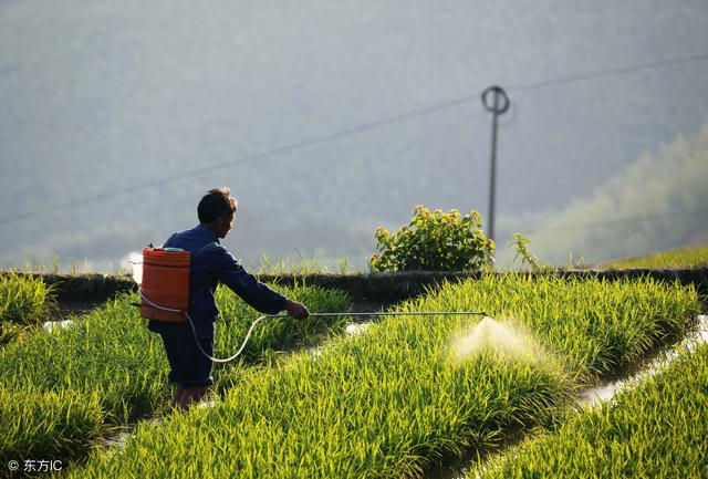 别把喷农药防护不当回事 两个月内19名农民丧生438人住院|印度|防护|农民_新浪新闻