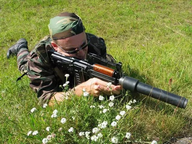 “狗砸”Groza和95什么关系？这概念是中国10年前玩剩下的！｜轻武专栏|模块化|步枪|榴弹|发射器|突击步枪_新浪新闻