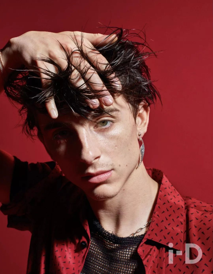 关于甜茶Timothée背后，你所不知道的一些故事|甜茶|意大利语|说唱|伍迪艾伦|续集_新浪新闻