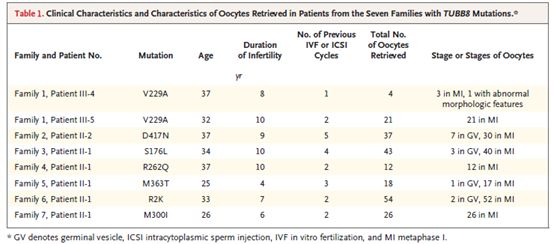 新基因 | TUBB8基因突变与女性卵母细胞减数分裂停滞|减数分裂|细胞|微管|突变|蛋白_新浪新闻