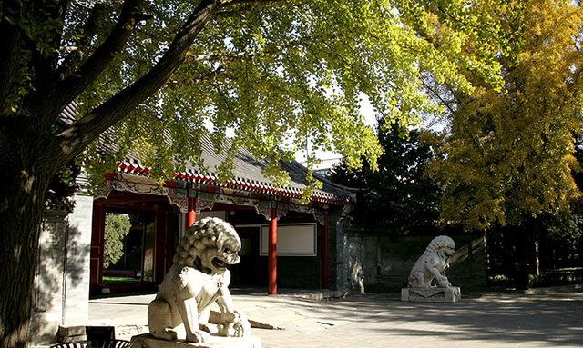 清华大学校园风景_新浪图片