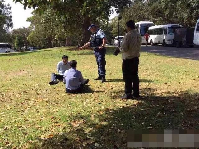 中国大叔在澳洲随地大小便被制服?澳警方回应手机新浪网