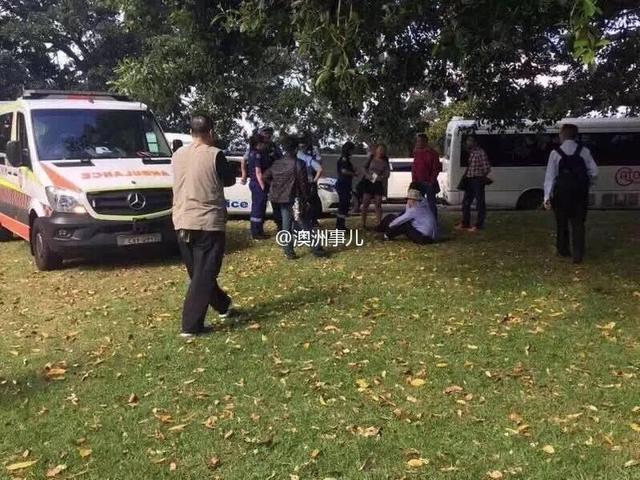 中国大叔在澳洲随地大小便被制服?澳警方回应手机新浪网