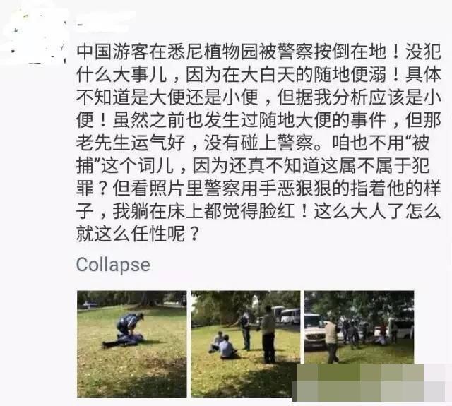 中国大叔在澳洲随地大小便被制服?澳警方回应手机新浪网