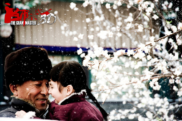 《一代宗师3D》曝光全新终极海报剧照_新浪图片